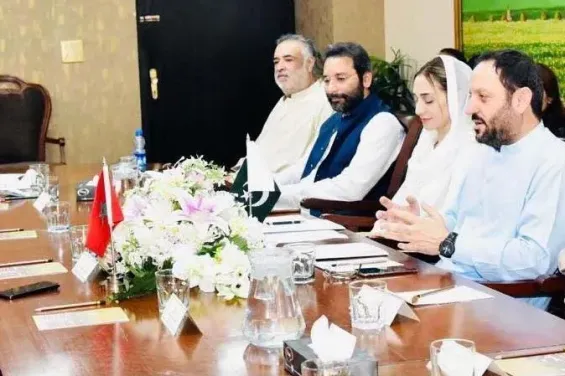 Pakistan, Morocco discuss trade Balance, visa facilitation and ...