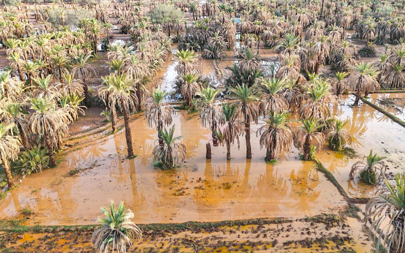 Inondations au Maroc : Mohammed Sadiki se rend aux zones agricoles ...