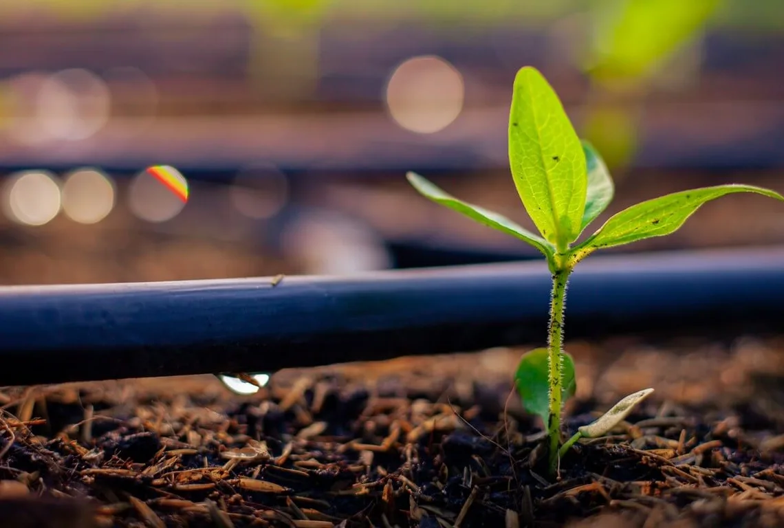 OCP signs two MoUs to turn captured CO₂ into sustainable water and ...