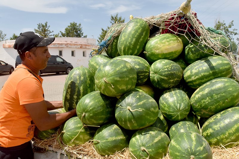 Dérèglement climatique : Répercussions économiques sur la production ...