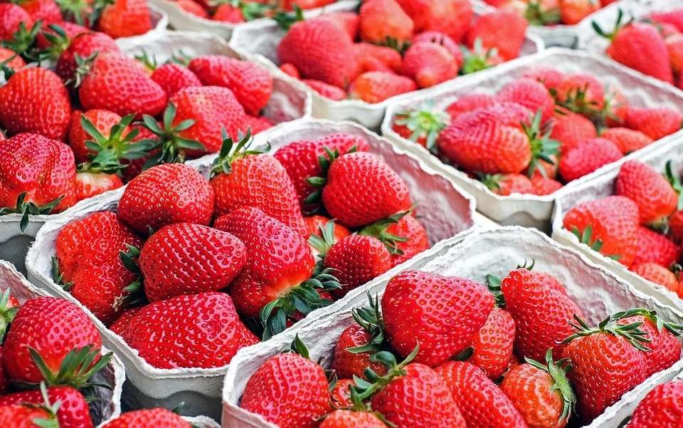 Europe: Soft fruit shortage driven by supply issues in Morocco
