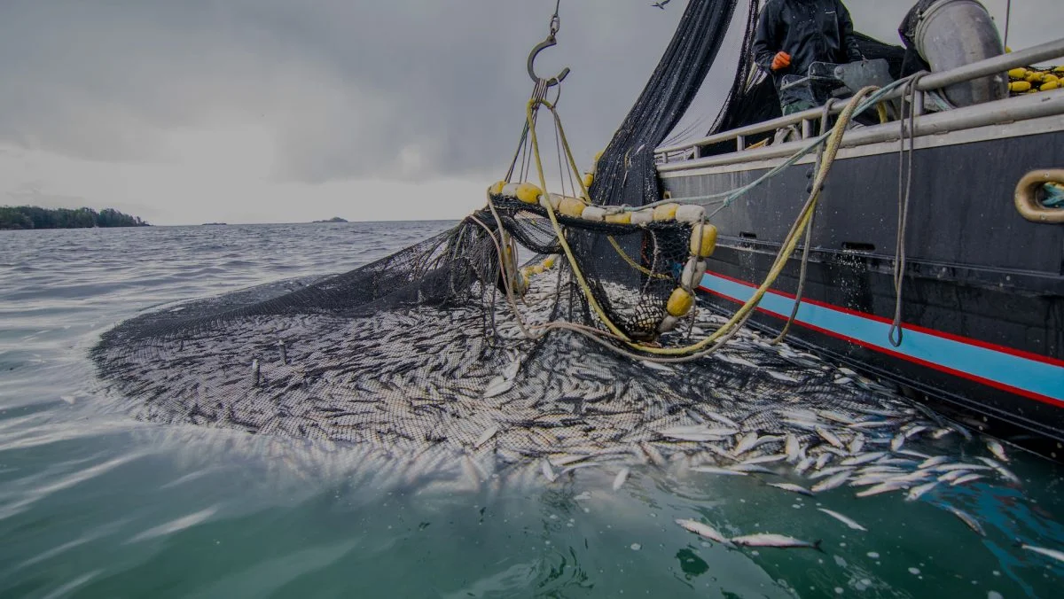 Morocco divides coastal trawling and longline fishing fleets to boost ...