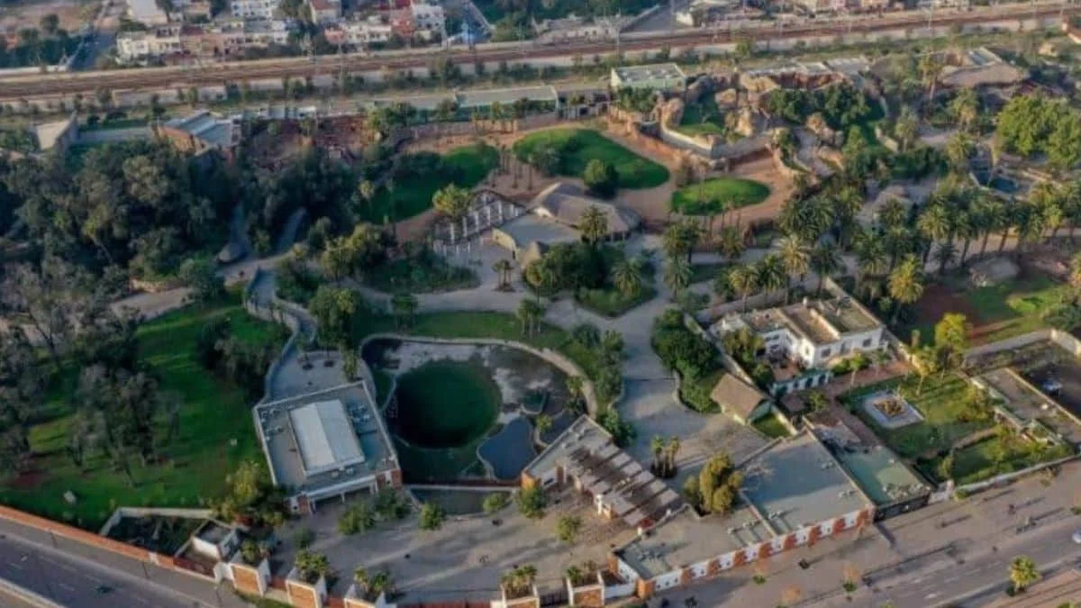 El zoológico de Ain Sebaa en Casablanca reabrirá sus puertas el 22 de ...